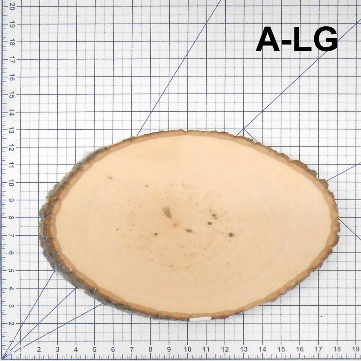 Large Basswood Rounds | The Wooden Teddy Bear - The Wooden Teddy Bear, Inc