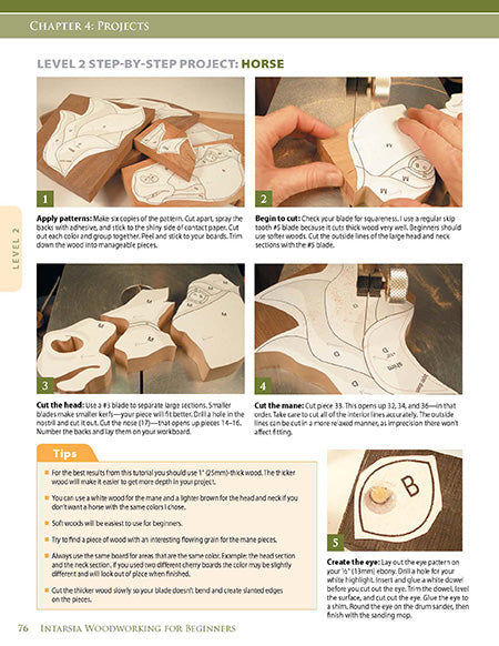 Intarsia Woodworking for Beginners book | The Wooden Teddy Bear - The ...