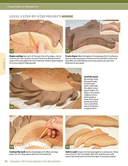 Intarsia Woodworking for Beginners book | The Wooden Teddy Bear - The ...