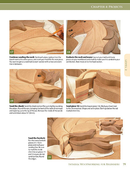 Intarsia Woodworking for Beginners book | The Wooden Teddy Bear - The ...