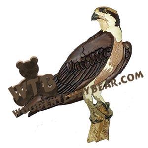 Osprey Intarsia scroll saw pattern | The Wooden Teddy Bear